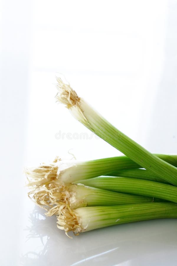 29,213 Shallot Stock Photos - Free & Royalty-Free Stock Photos from ...