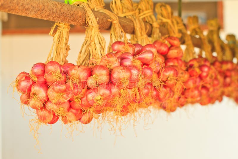 Shallot stock image. Image of health, spice, natural - 31814827