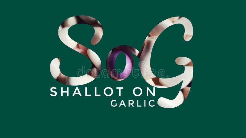 Shallot and Garlic Behind the Text Stock Vector - Illustration of ...