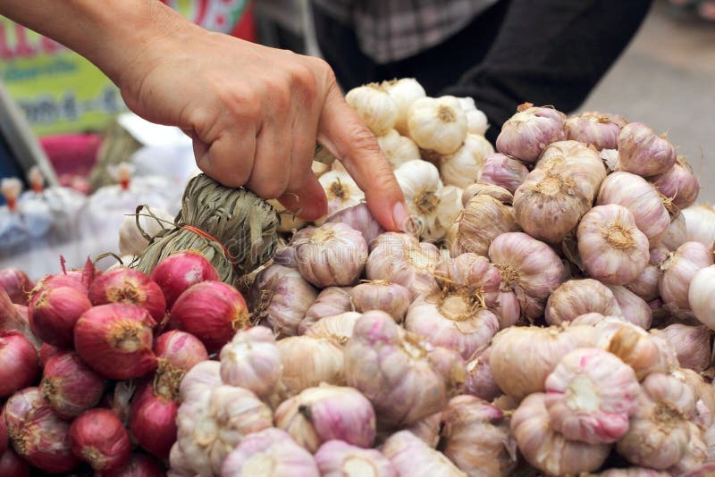 Shallot - Garlic in the Market Stock Image - Image of herb, shallot ...