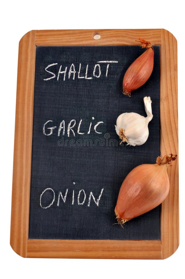 Shallot, Garlic and Onion Written on a School Slate Stock Illustration ...