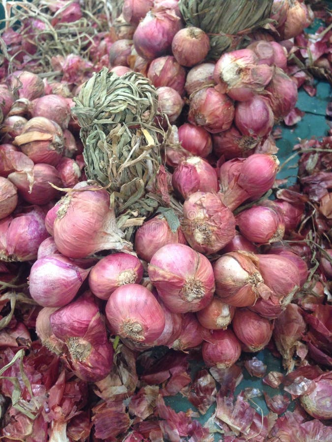Shallot stock photo. Image of market, local, vegetable - 54805130