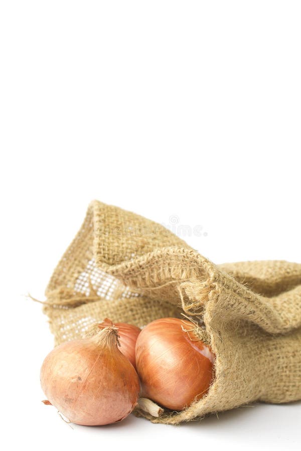 Shallot Isolated on White Background Stock Image - Image of freshness ...
