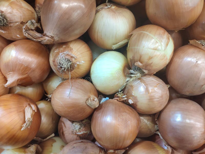 Shallot, Onion is a Vegetable and Spice for Cooking in the Kitchen ...