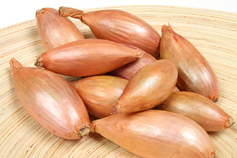 Shallot onions stock image. Image of vegetables, onions - 11331851