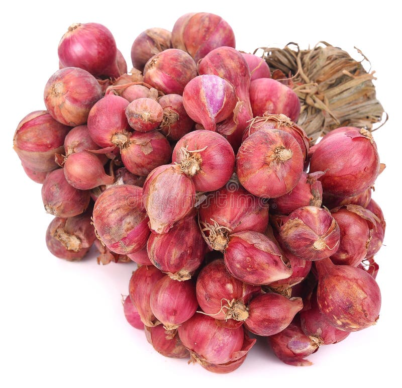 Shallot Onions in a Group on White Background Stock Image - Image of ...