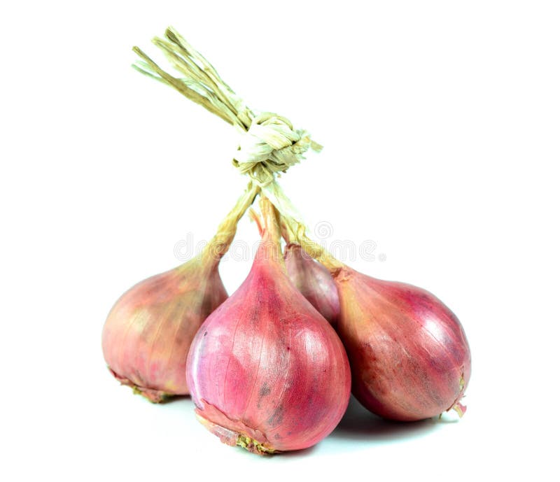 31,062 Shallot Stock Photos - Free & Royalty-Free Stock Photos from ...