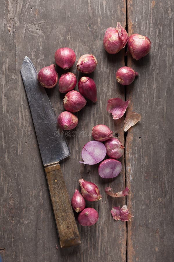 Shallot stock image. Image of farming, cuisine, shallot - 50566789