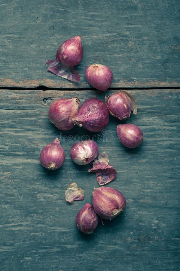 Shallot stock photo. Image of farming, organic, ingredient - 50566762
