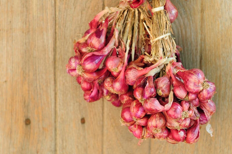 Shallots stock image. Image of aroma, nikon, ingredient - 18332083