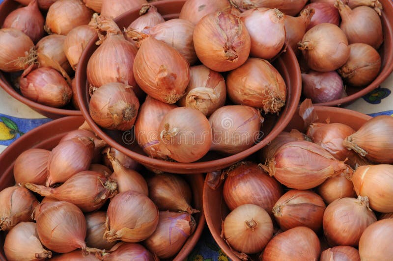 Shallots stock photo. Image of merchandise, greengrocer - 21296426