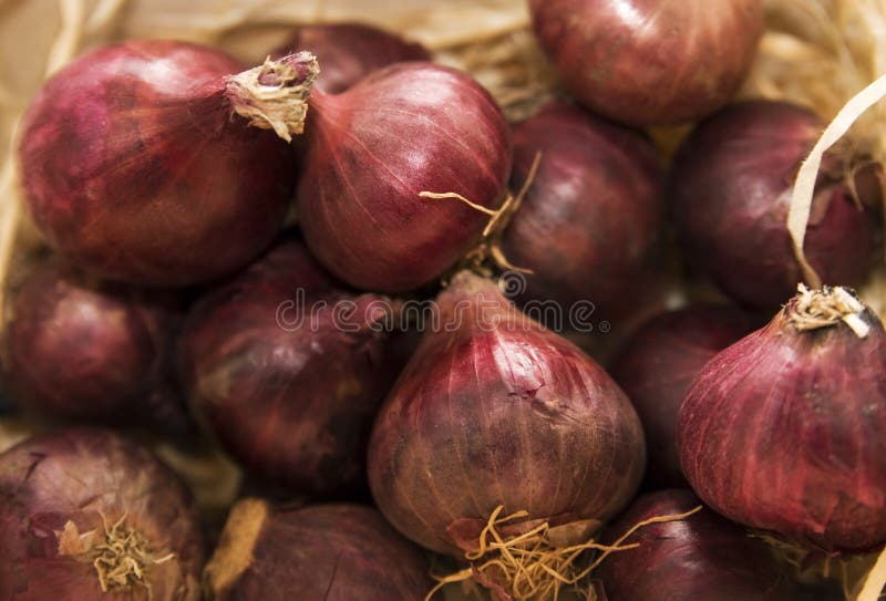 Shallots stock photo. Image of cook, onions, shallots - 22606346