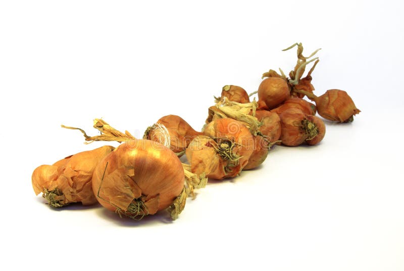 Shallots stock photo. Image of cultivated, isolated, macro - 8086132