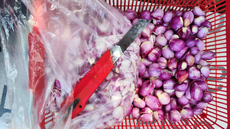 Shallots in a Container are in the Process of Peeling the Skin Using a ...