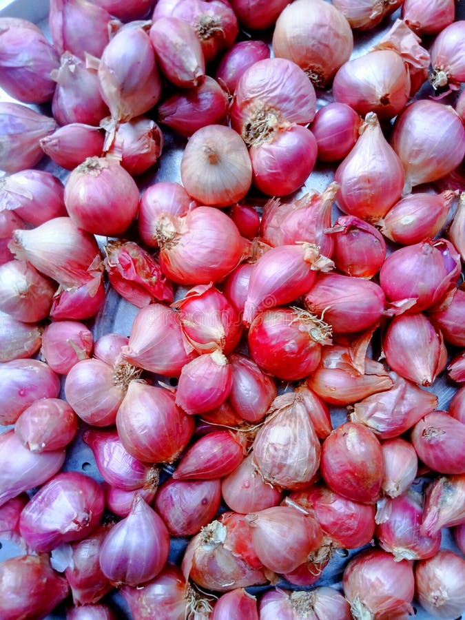 Shallots for Cooking Spices Stock Photo - Image of produce, shallots ...