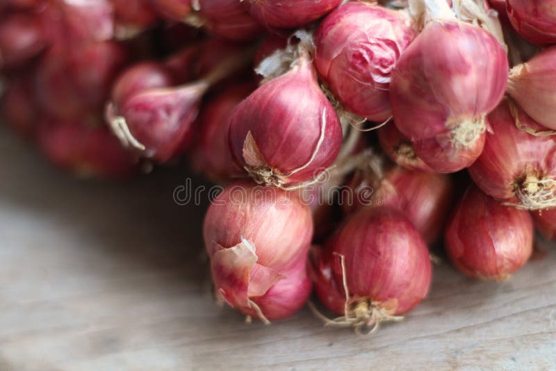 Shallots stock image. Image of asian, ingredient, shallots - 52199811