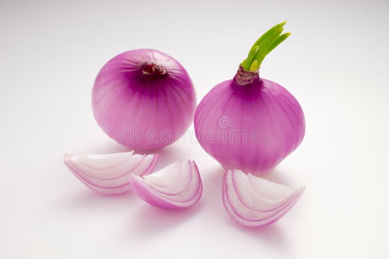 Shallots Isolated on White Background. Stock Photo - Image of onion ...
