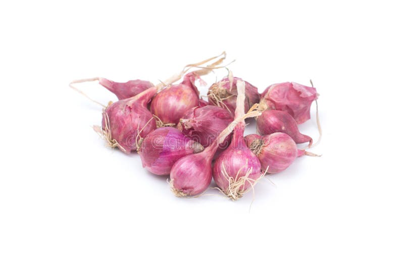 Shallots on Isolated White Background Stock Image - Image of health ...