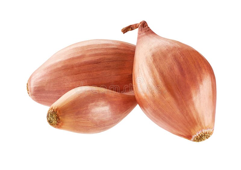 Shallots Isolated on White Background. Three Whole Onion Shallots ...