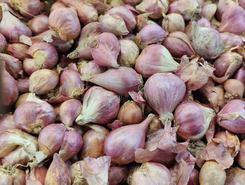 Shallots, Shallots are One of the Kitchen Spices Stock Image - Image of ...