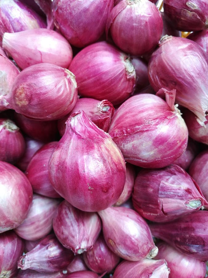 Shallots stock photo. Image of detail, shallots, natural - 83482084