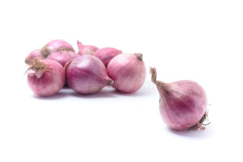 Five shallots 2 stock photo. Image of healthy, light, shallots - 2139296