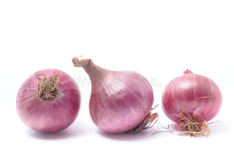 Shallots, Raw and Uncooked on White Background Stock Image - Image of ...