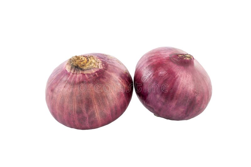 Shallots (Red Onion) Isolated Stock Image - Image of spring, healthy ...