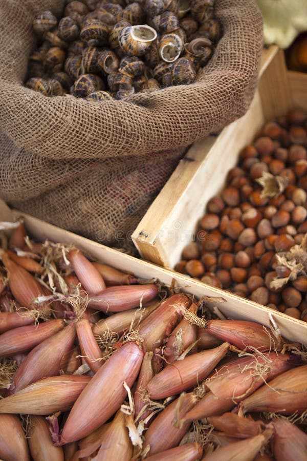 Snails stock photo. Image of small, farm, snails, closeup - 892308