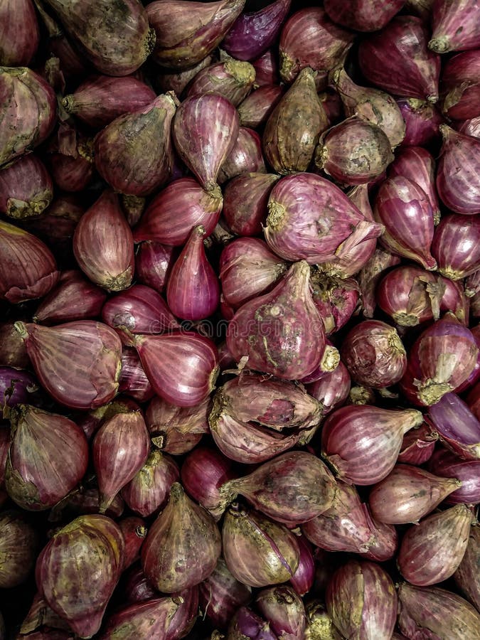 Shallots in a Supermarket stock image. Image of customer - 277801651