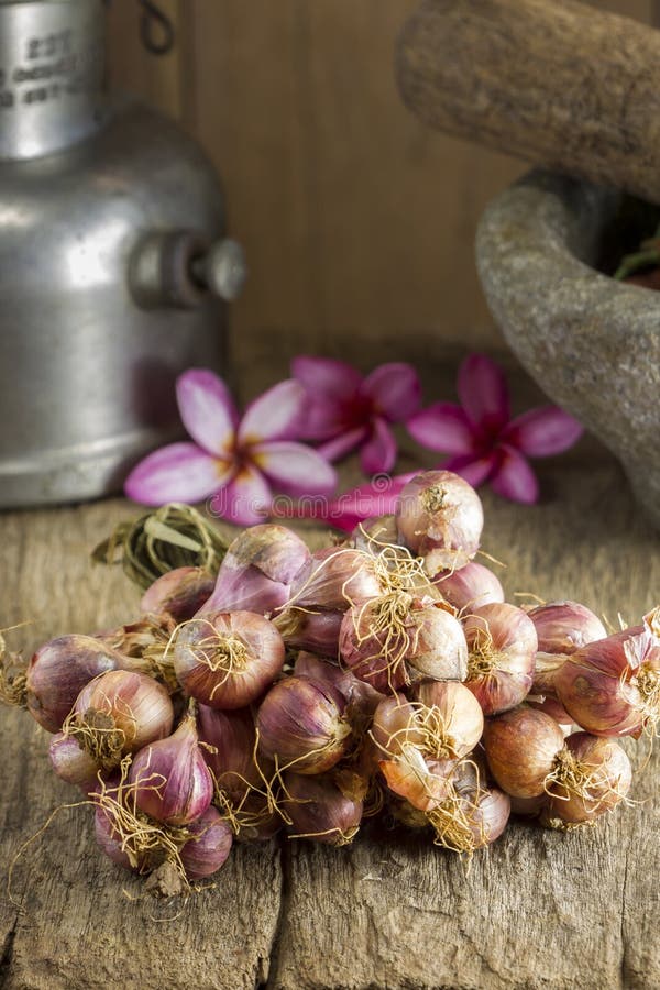 Shallots stock image. Image of shallot, table, organic - 78180529