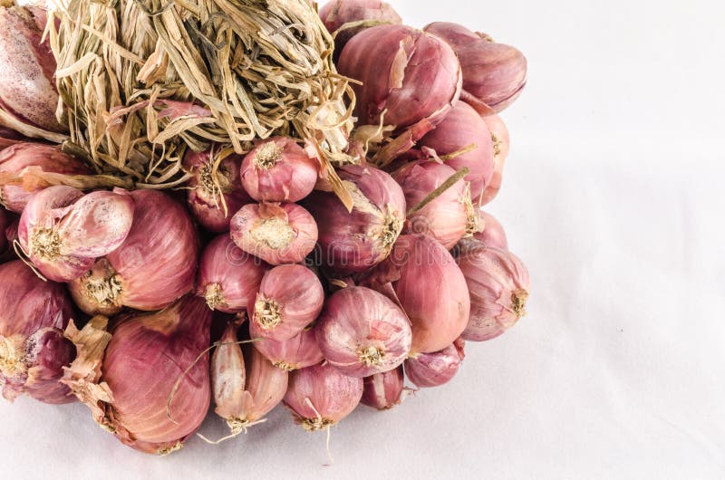 Shallots in White Background Stock Photo - Image of shallots, white ...