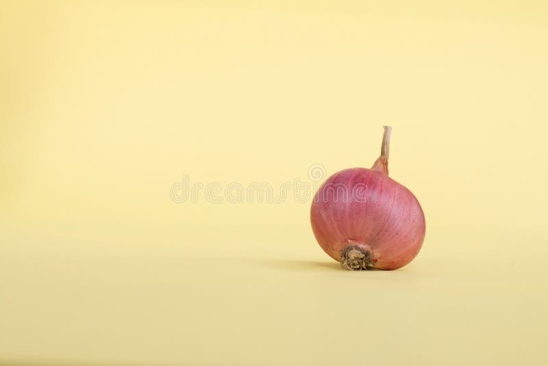 The Shallots on Vintage Paper Background, Food Objects on Pastel Color ...