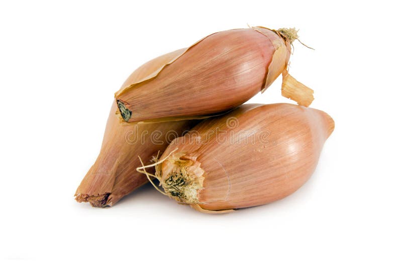 Five shallots 2 stock photo. Image of healthy, light, shallots - 2139296
