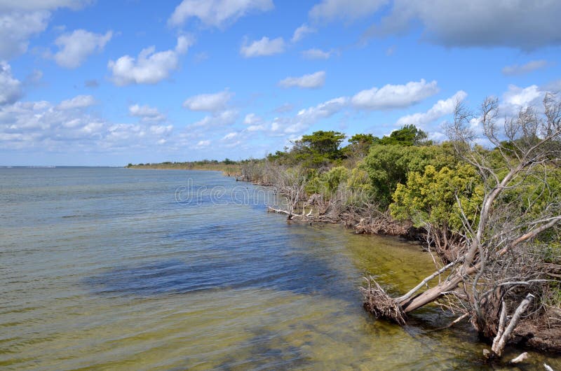 Shallow Bay Shore foto de archivo. Imagen de agua, costa - 158980968