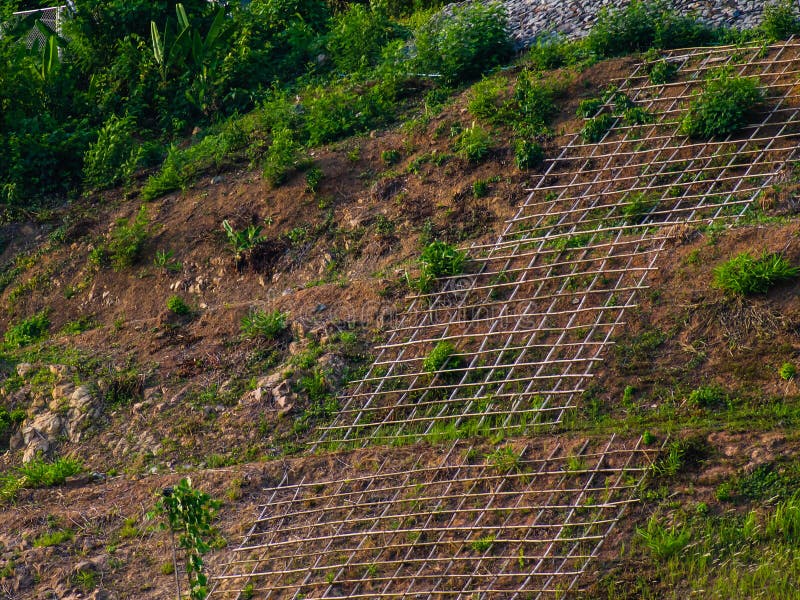 Shallow Cellular Confinement System To Prevent Soil Erosion on Slope ...