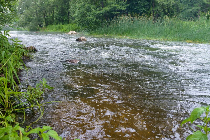 A Shallow River Sandwiched In Stony Banks Covered With Grass Flows ...