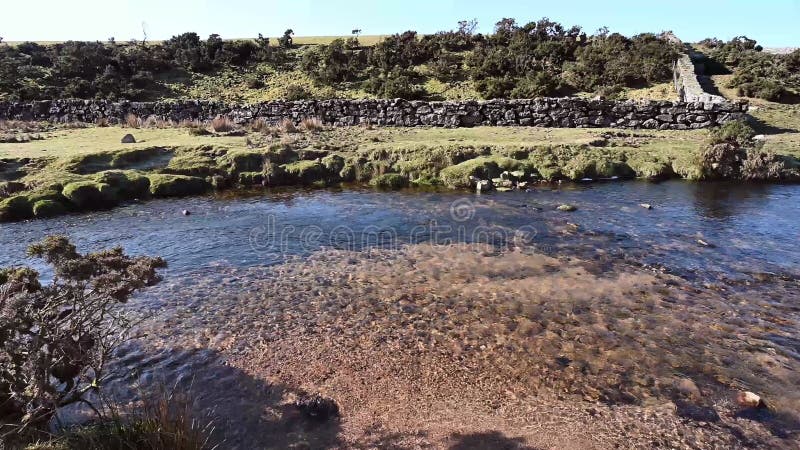 Clean Water Flowing from the Hosepipe Stock Video - Video of splashing ...