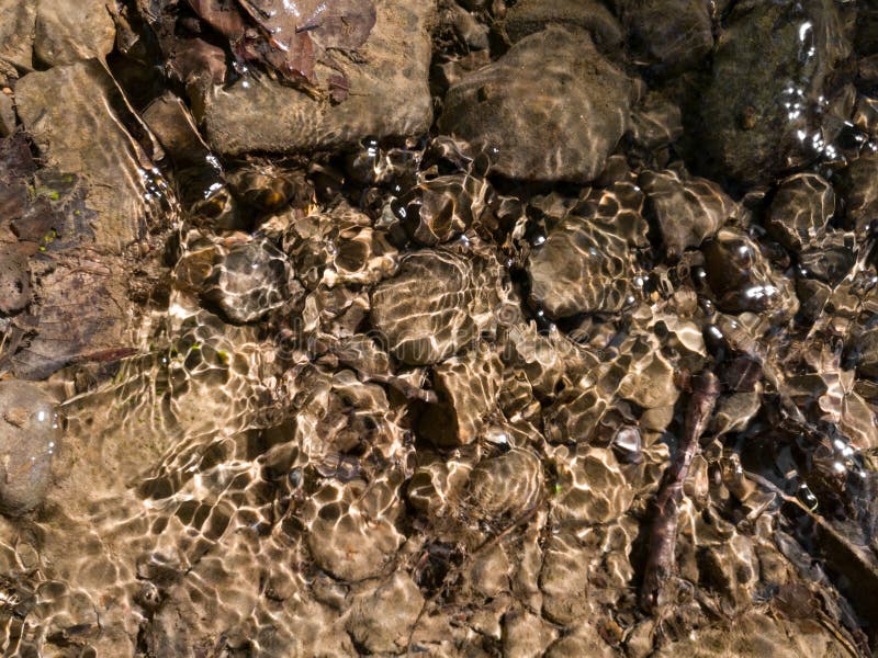 Shallow Clear Water Flowing in the Stream, Abstract Waveforms ...