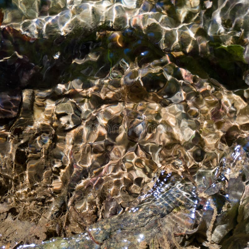 Shallow Clear Water Flowing in the Stream, Abstract Waveforms ...