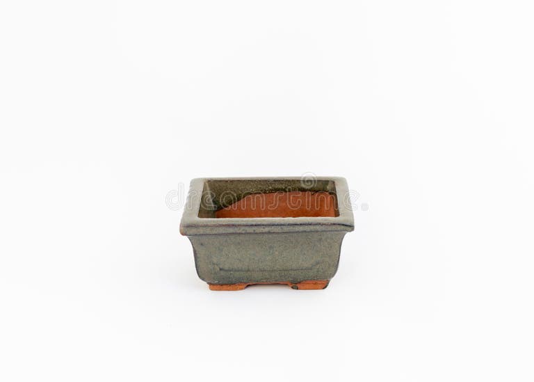 Shallow Container for Growing Bonsai on White Isolated Background Stock ...