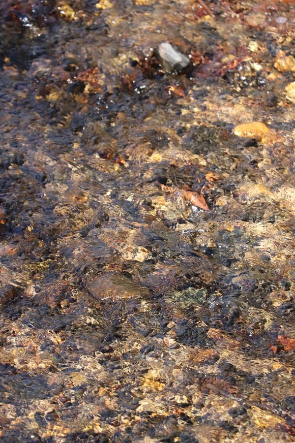 Shallow Creek with Smooth Brown Rocks and Pebbles Stock Photo - Image ...
