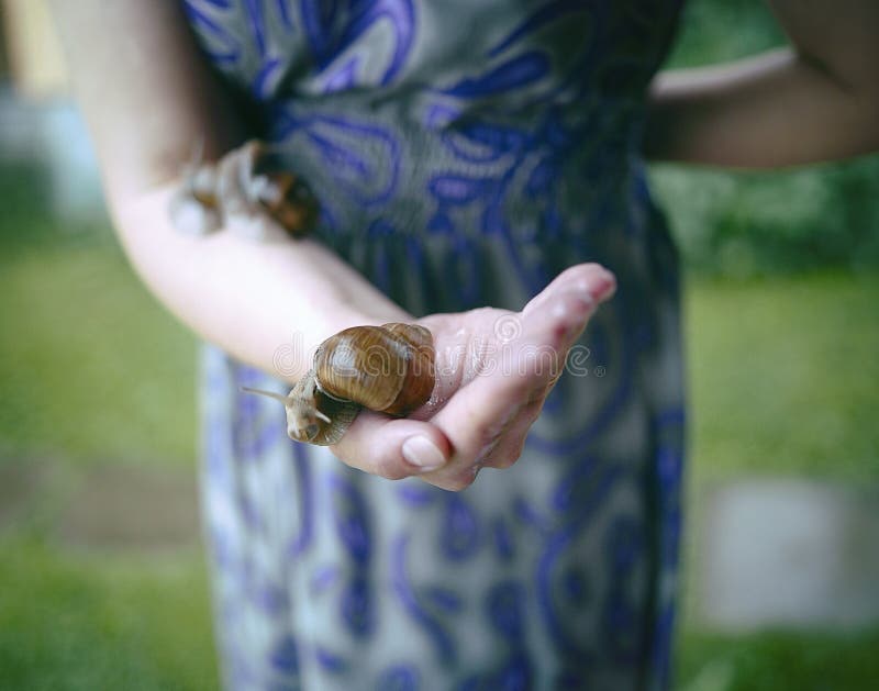Snail in hand stock image. Image of woman, horizontal - 123069647 Snail in hand stock image. Image of woman, horizontal - 123069647