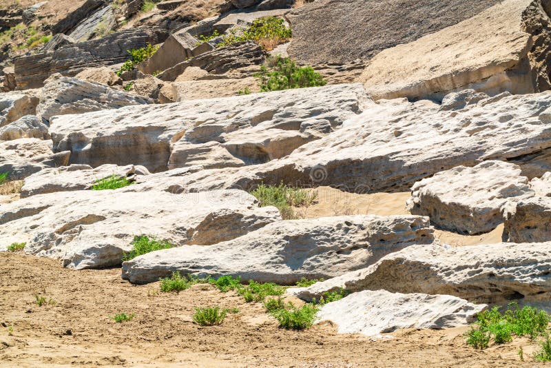 Shallow Dry Sea Exposed the Coastal Cliffs. Ecological Catastrophy ...