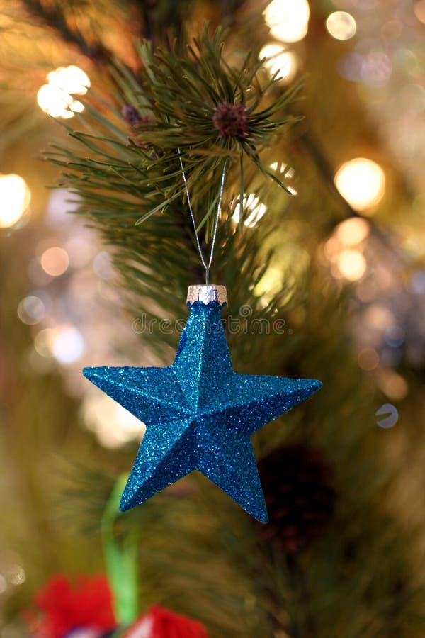 Shallow Focus Photography of Blue Star Christmas Tree Decor Stock Image ...
