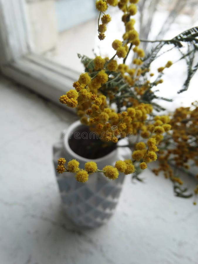 Shallow Focus Photography of Yellow Flowers Stock Image - Image of ...
