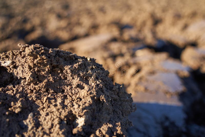 Shallow Focus Shot of Earthy Soil Stock Image - Image of rough, soil ...