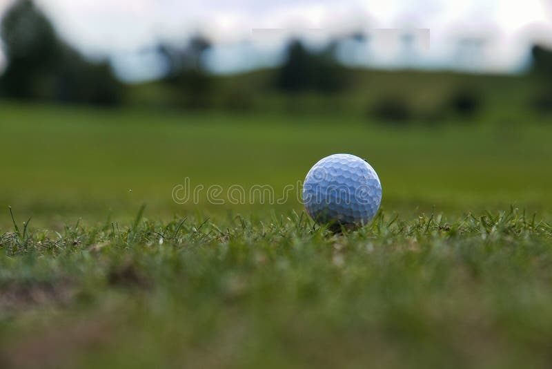 Shallow Focus Shot of a Golf Ball in a Golf Course Stock Photo - Image ...