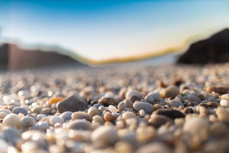 Shallow Focus Shot of Pebbles on the Beach Stock Image - Image of ...