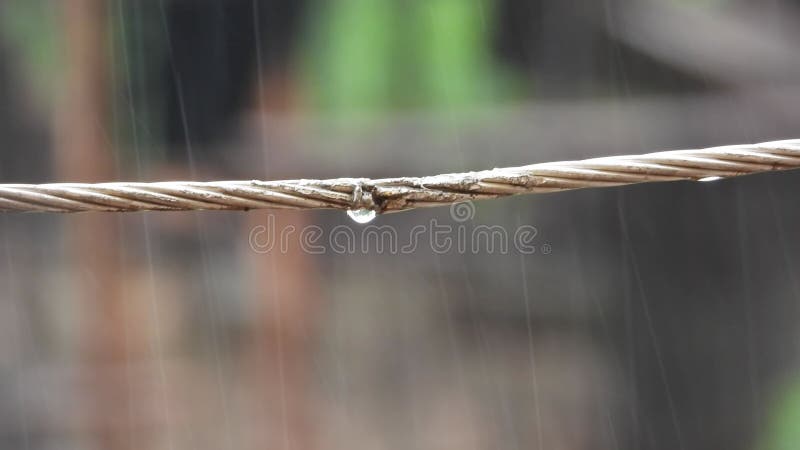 Shallow Focus Shot of Raindrops Falling on a Rope with Blur Background ...